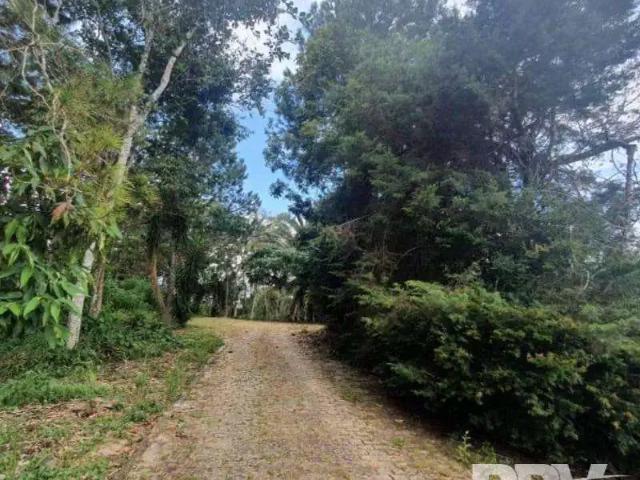 Terreno / Lote para Venda em Teresópolis/RJ Fazenda Suiça