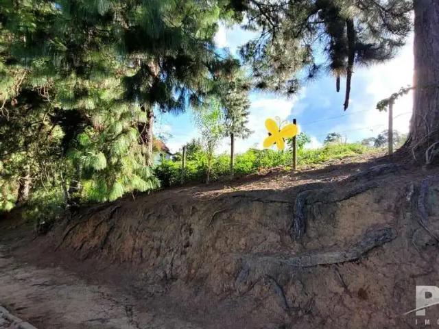 Terreno / Lote para Venda em Teresópolis/RJ Fazenda Suiça