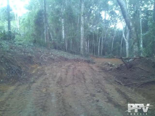 Terreno / Lote para Venda em Teresópolis/RJ Fazenda Suiça