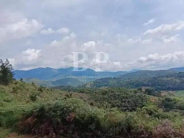 Terreno / Lote para Venda em Teresópolis/RJ Fazenda Suiça