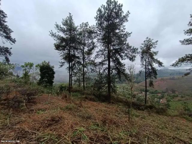 Terreno / Lote para Venda em Teresópolis/RJ Fazenda Suiça
