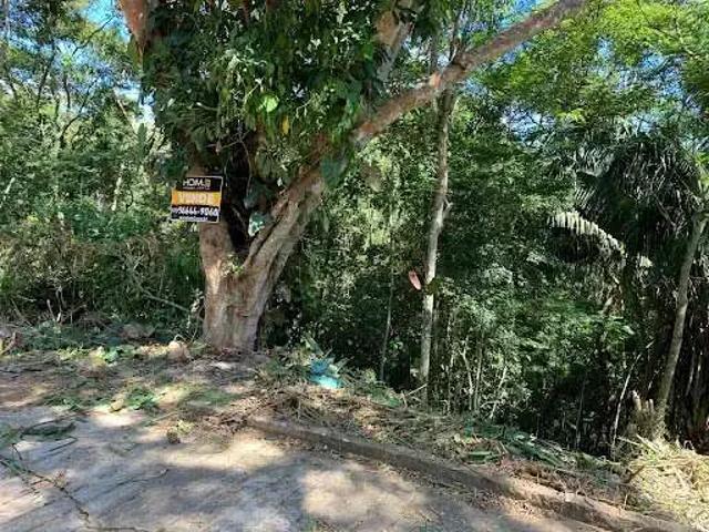 Terreno / Lote para Venda em Teresópolis/RJ Granja Mafra