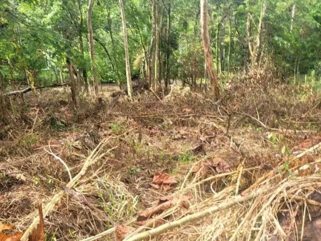 Terreno / Lote para Venda em Teresópolis/RJ Granja Mafra