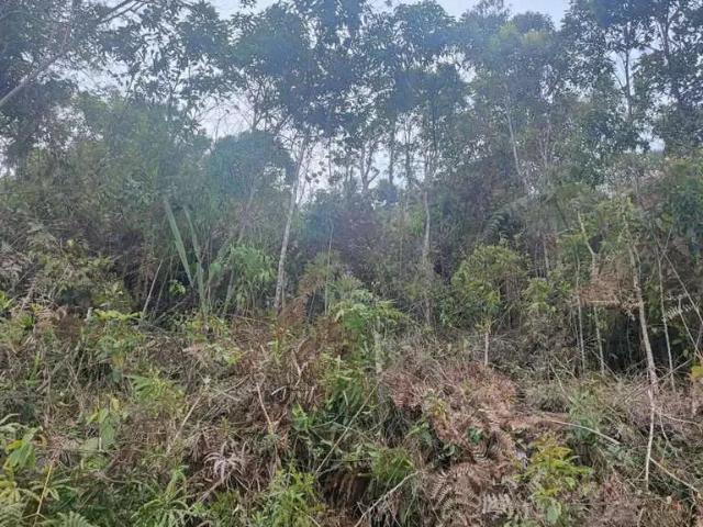 Terreno / Lote para Venda em Teresópolis/RJ Granja Mafra