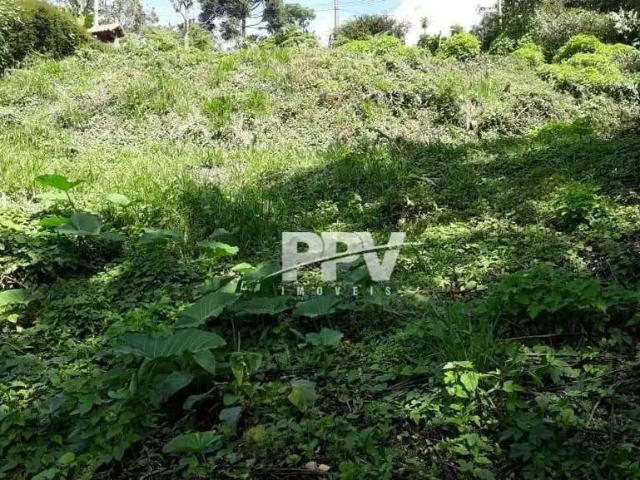 Terreno / Lote para Venda em Teresópolis/RJ Parque do Imbui