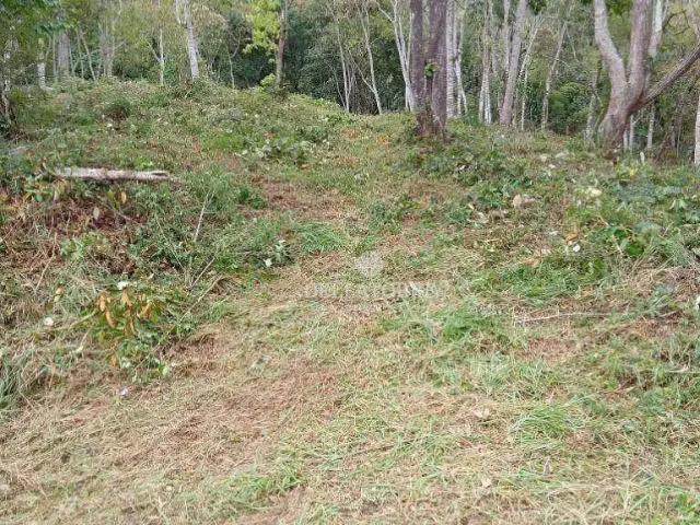 Terreno / Lote para Venda em Teresópolis/RJ Parque do Imbui