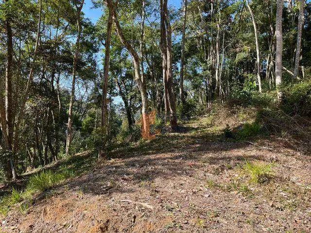 Terreno / Lote para Venda em Teresópolis/RJ Parque do Imbui
