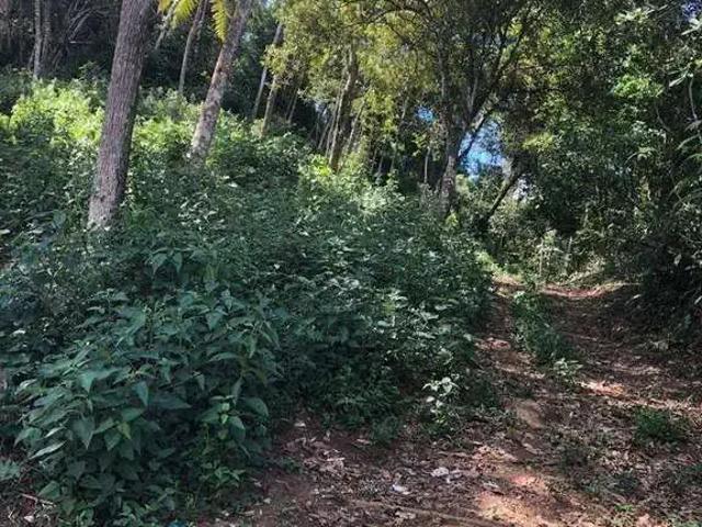 Terreno / Lote para Venda em Teresópolis/RJ Pessegueiros