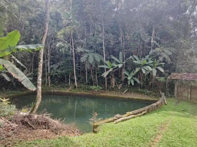Terreno / Lote para Venda em Teresópolis/RJ Prata dos Aredes