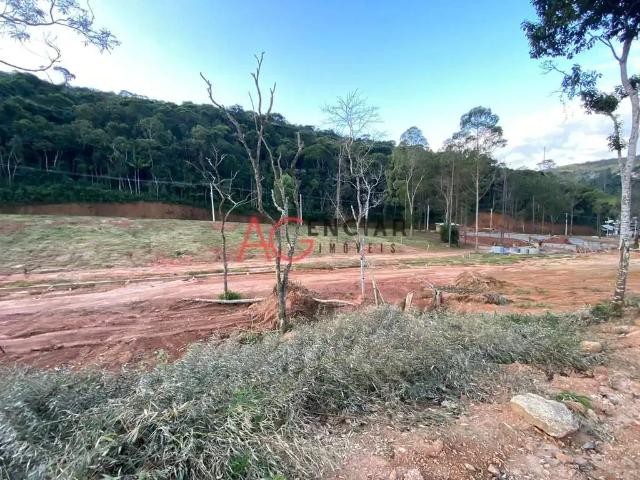 Terreno / Lote para Venda em Teresópolis/RJ Prata