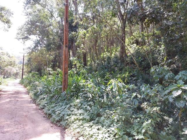Terreno / Lote para Venda em Teresópolis/RJ Santa Rita