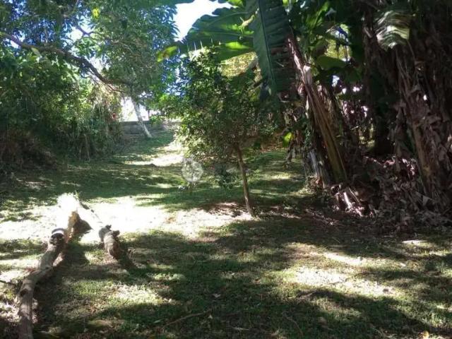 Terreno / Lote para Venda em Teresópolis/RJ Tijuca