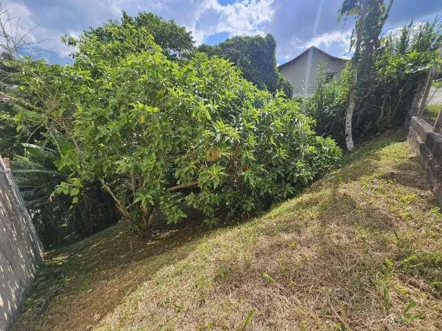 Terreno / Lote para Venda em Teresópolis/RJ Tijuca