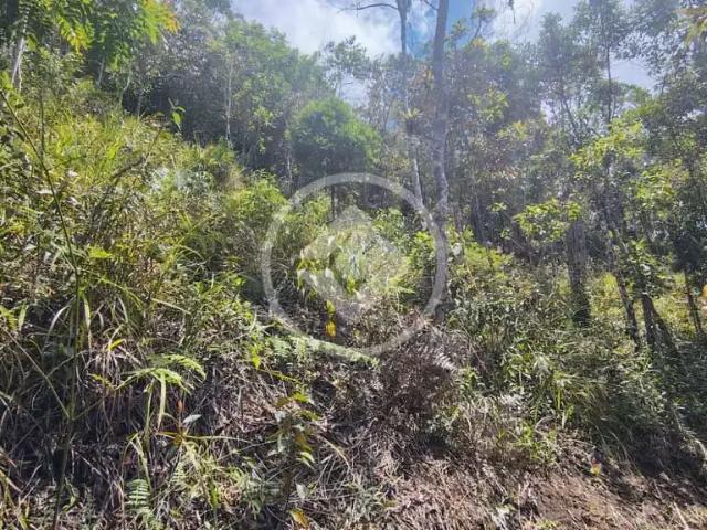 Terreno / Lote para Venda em Teresópolis/RJ Vale do Paraíso