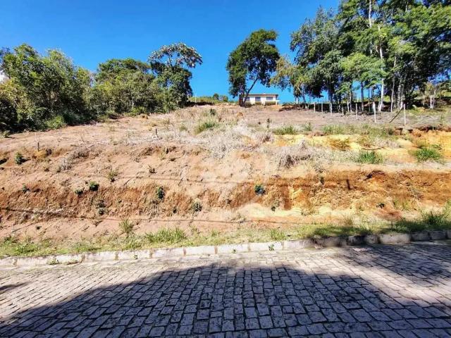 Terreno / Lote para Venda em Teresópolis/RJ Vale Feliz