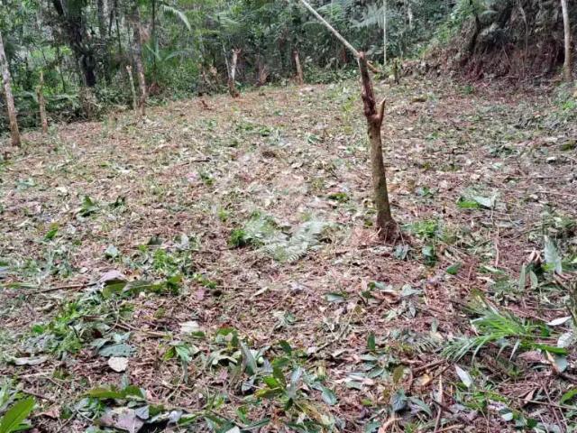 Terreno / Lote para Venda em Teresópolis/RJ Vargem Grande