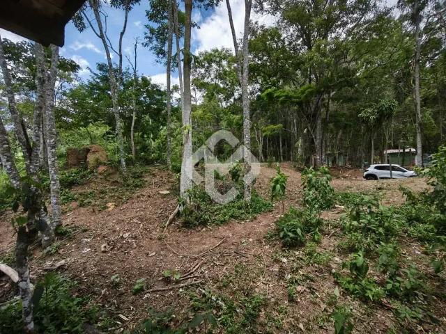 Terreno / Lote para Venda em Teresópolis/RJ Vargem Grande