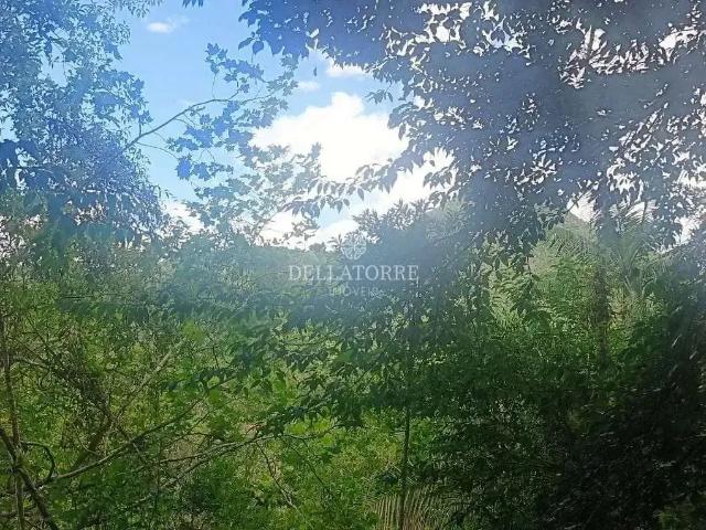 Terreno / Lote para Venda em Teresópolis/RJ Vargem Grande