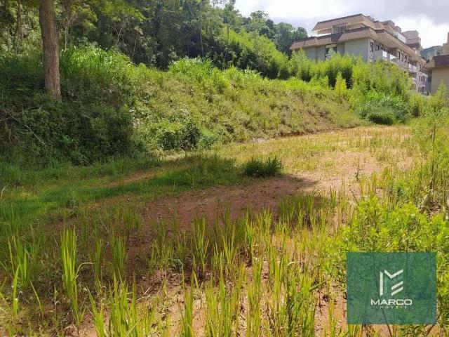 Terreno / Lote para Venda em Teresópolis/RJ Várzea