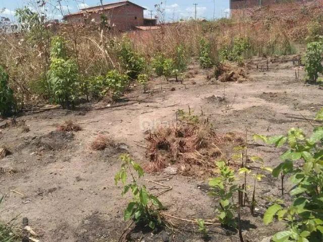Terreno / Lote para Venda em Teresina/PI Angelim