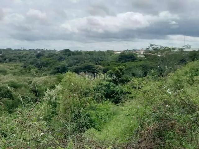 Terreno / Lote para Venda em Teresina/PI Beira Rio