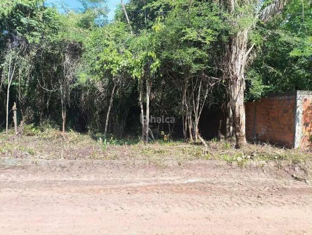 Terreno / Lote para Venda em Teresina/PI Uruguai