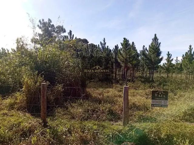Terreno / Lote para Venda em Terra de Areia/RS Bela Vista