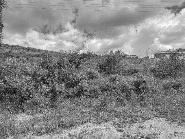 Terreno / Lote para Venda em Timbaúba/PE Centro 1 Quartos