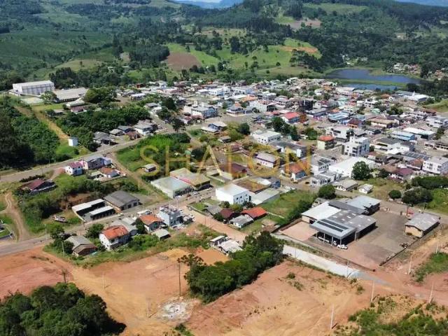 Terreno / Lote para Venda em Timbó Grande/SC Centro