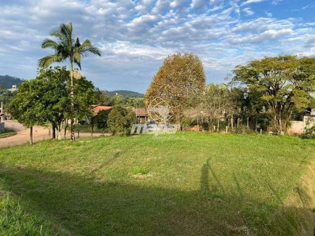Terreno / Lote para Venda em Timbó/SC Araponguinhas