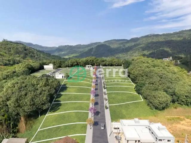 Terreno / Lote para Venda em Timbó/SC Araponguinhas