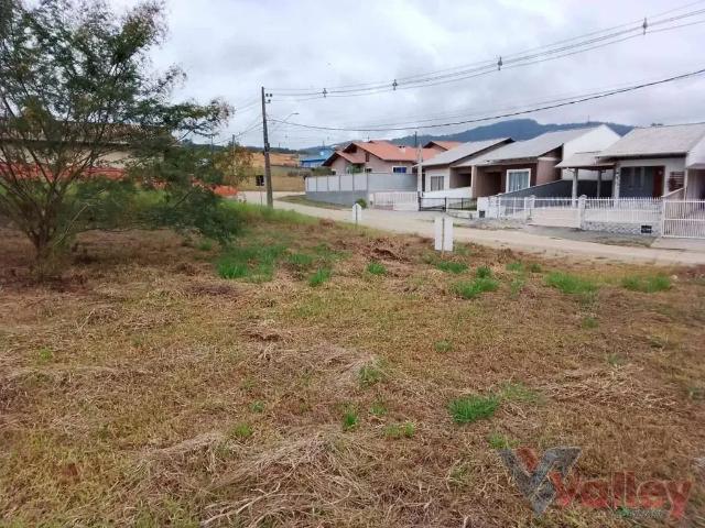 Terreno / Lote para Venda em Timbó/SC Araponguinhas