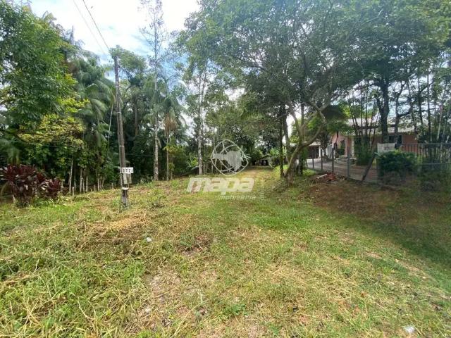 Terreno / Lote para Venda em Timbó/SC Araponguinhas
