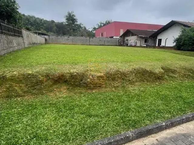 Terreno / Lote para Venda em Timbó/SC Araponguinhas