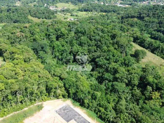 Terreno / Lote para Venda em Timbó/SC Araponguinhas