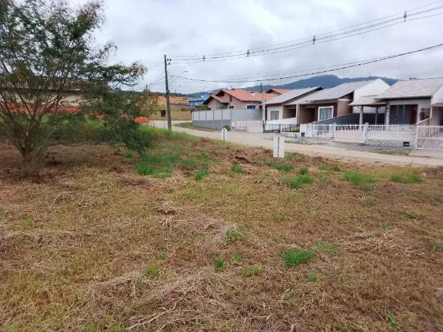 Terreno / Lote para Venda em Timbó/SC Araponguinhas