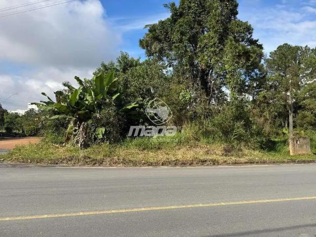 Terreno / Lote para Venda em Timbó/SC Araponguinhas