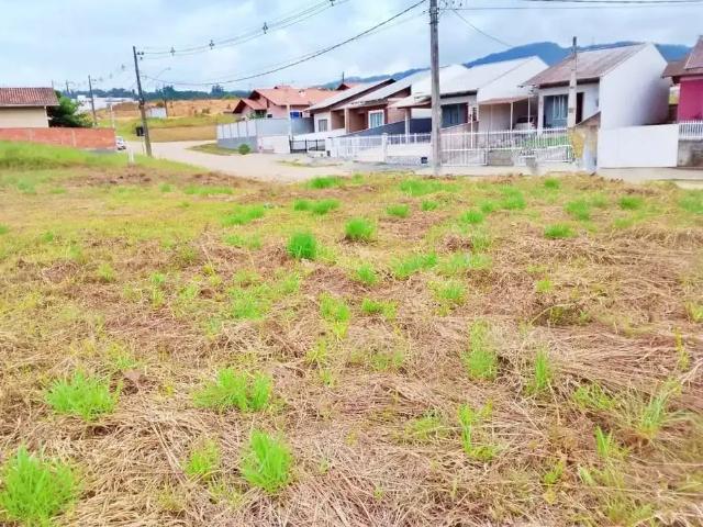 Terreno / Lote para Venda em Timbó/SC Araponguinhas