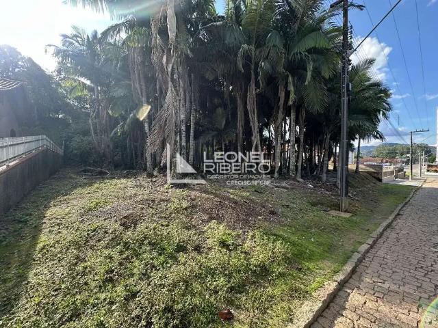 Terreno / Lote para Venda em Timbó/SC Das Capitais