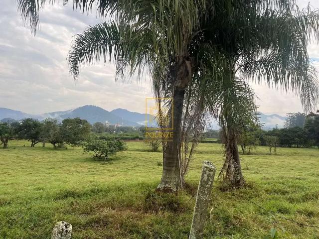 Terreno / Lote para Venda em Timbó/SC Das Nações