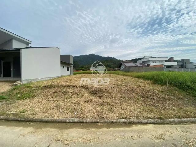 Terreno / Lote para Venda em Timbó/SC Padre Martinho Stein
