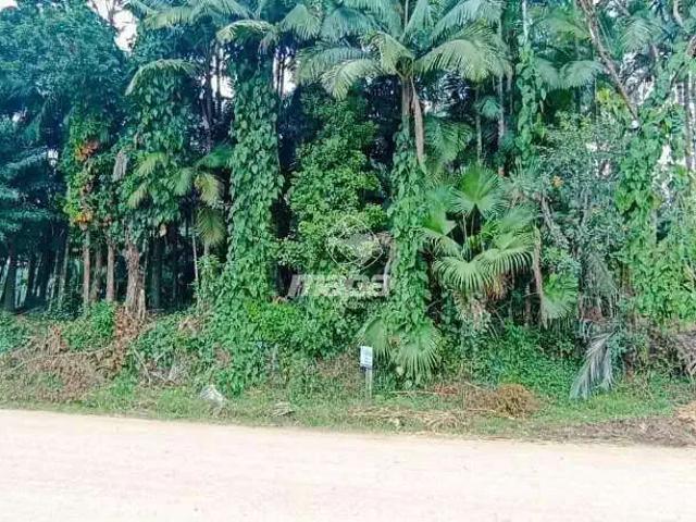 Terreno / Lote para Venda em Timbó/SC Padre Martinho Stein