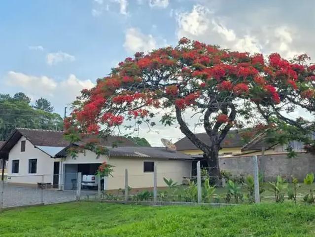 Terreno / Lote para Venda em Timbó/SC Pomeranos
