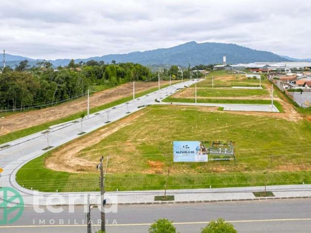 Terreno / Lote para Venda em Timbó/SC Quintino