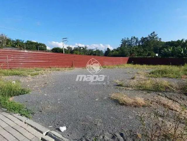 Terreno / Lote para Venda em Timbó/SC Quintino