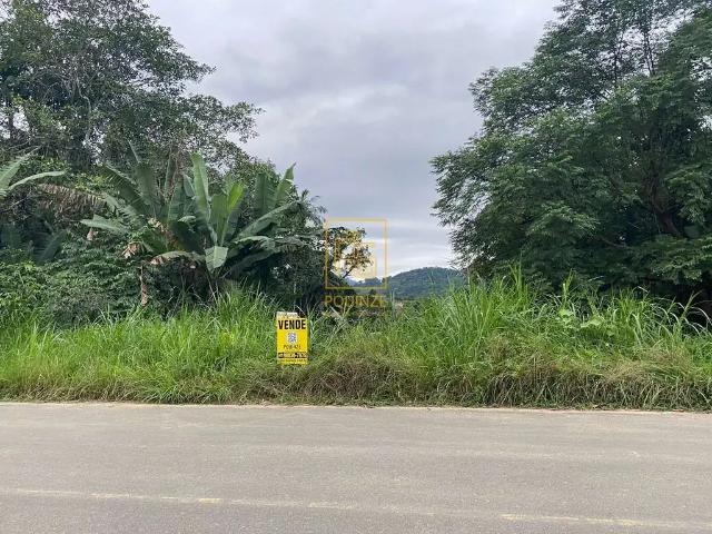 Terreno / Lote para Venda em Timbó/SC Quintino