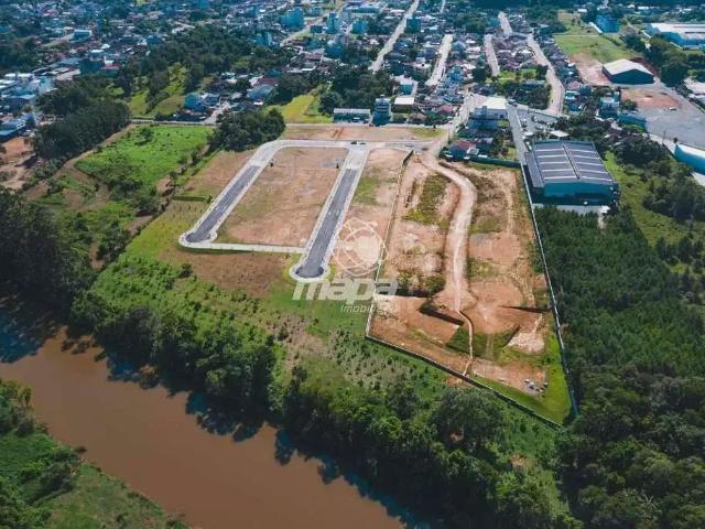 Terreno / Lote para Venda em Timbó/SC Quintino