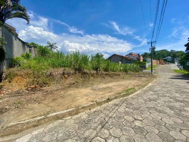Terreno / Lote para Venda em Timbó/SC Quintino
