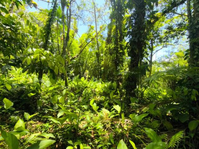 Terreno / Lote para Venda em Timbó/SC Tiroleses