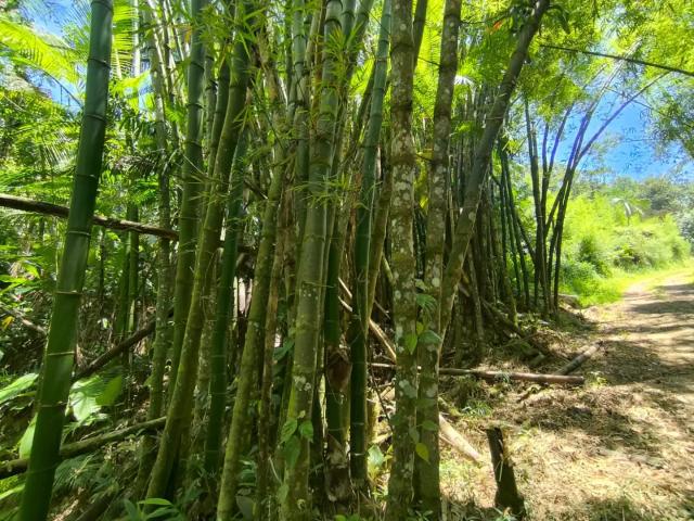 Terreno / Lote para Venda em Timbó/SC Tiroleses